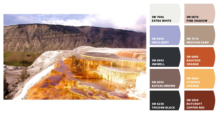 Capturing Nature's Palette with Chip It! - BGI