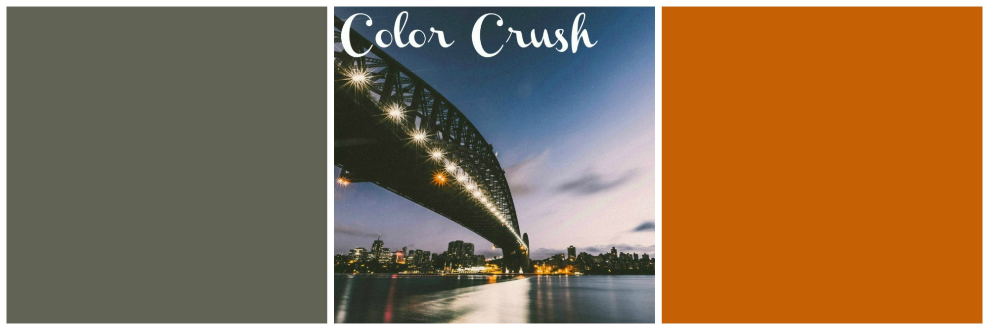 Color Crush: Urban Color Palette | Barbara Gilbert Interiors