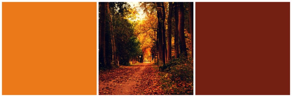 Color Crush: Fall Foliage | Barbara Gilbert Interiors